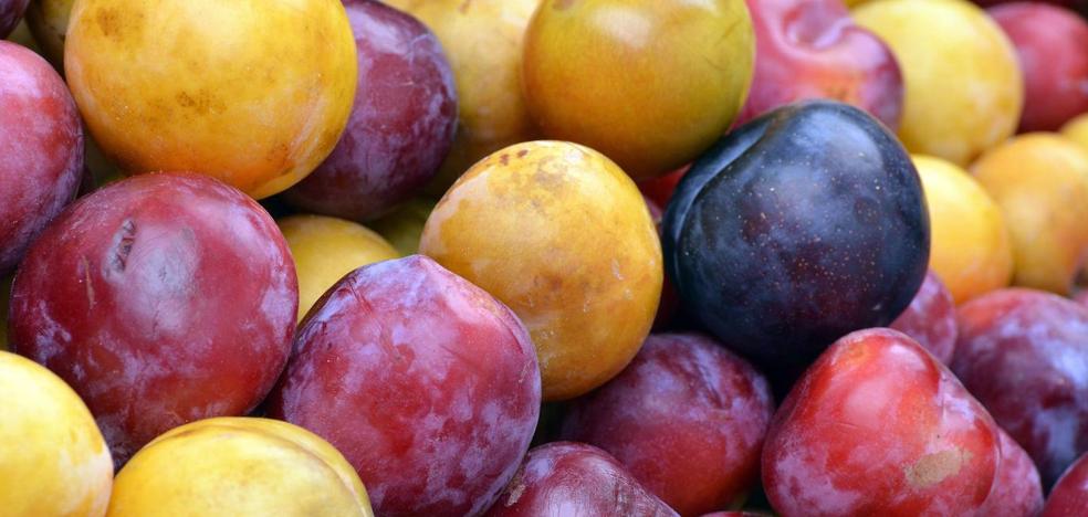 Recetario Degusta: Versatilidad y color, el secreto de unas apetecibles ...