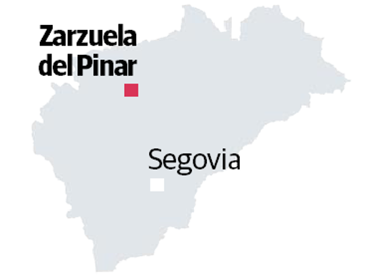 Zarzuela del Pinar: el orgullo de ser quinto y subir el mayo | El Norte ...