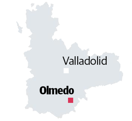 Olmedo: Lope de Vega y don Alonso Manrique siempre presentes | El Norte ...