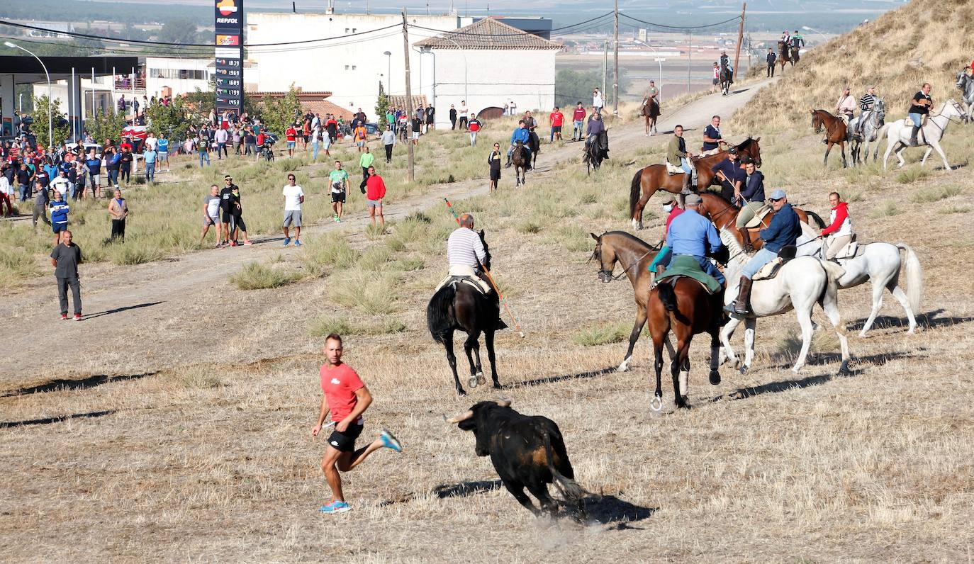 Fotos: Encierro en Arrabal de Portillo | El Norte de Castilla
