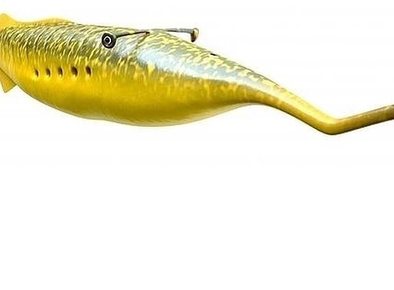 Científicos descubren el origen de la criatura marina conocida como ...