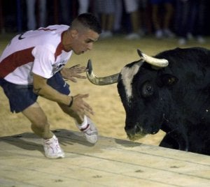 El toro 'Ratón' regresa a los ruedos en Canals | El Norte de Castilla